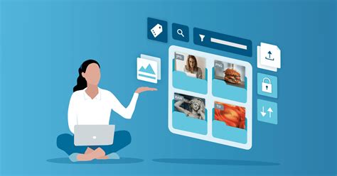 Image Database Software How To Choose The Right Tool For Your Business