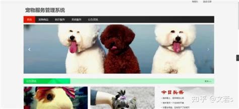 基于pythondjango的毕业设计 宠物服务管理系统附源码论文 知乎 基于pythondjango的毕业设计 宠物服务管理系统附源码论文 知乎