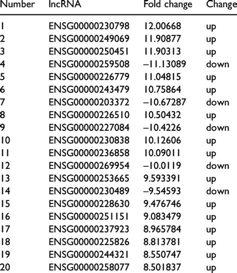 The Top 20 Differentially Expressed Long Noncoding Rnas Lncrnas In Download Scientific