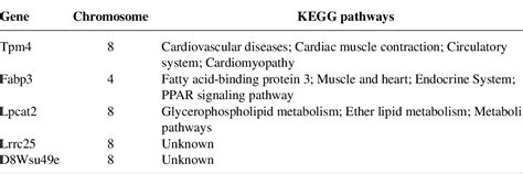 Table 5 From Integrative Exploration Of Large High Dimensional Datasets Semantic Scholar