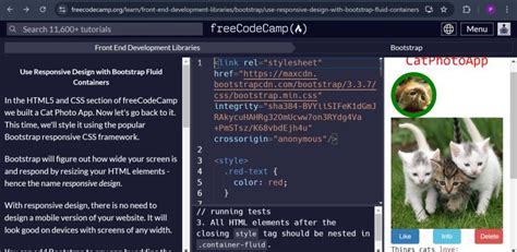 Webdevelopment Bootstrap Freecodecamp Learning Codingjourney