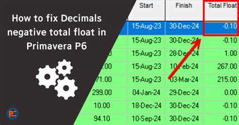 how to fix decimals negative float in primavera p6 planning engineer fze