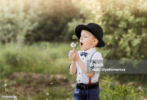 하얀 민들레에 불타는 모자를 쓴 어린 소년 복고풍 옷을 입은 어린이 민들레에 대한 스톡 사진 및 기타 이미지 민들레 바람 불기 Istock