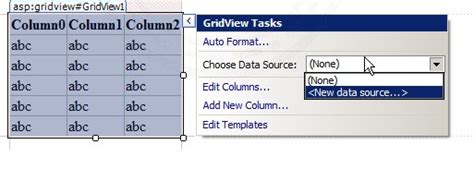 Aspnet And Accessdatasource And Gridview