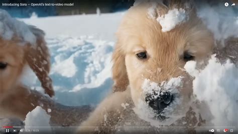 Mengenal Sora Openai Yang Mengubah Teks Menjadi Video Kanal24
