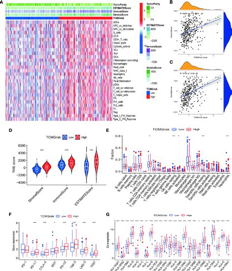 Characteristics Of Tumor Immune Microenvironment A Heatmap Showed