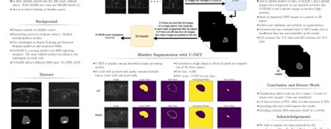 Bladder Segmentation To Classify The Level Of Tumor Invasions According To Vi Rads Cmpe Web