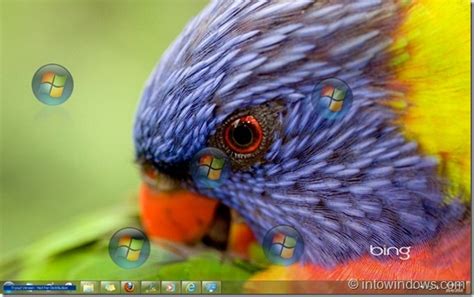 🥇los 7 Mejores Protectores De Pantalla Para Windows 107