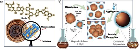 Overcoming Challenges Of Lignin Nanoparticles Expanding Opportunities