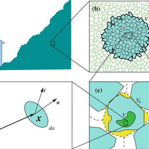 Continuum Fields In A Macroscopic Domain As Shown In A Are Derived By