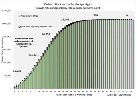 Your Heating Choice Matters To Sustainable Forestry And Forest Preservation