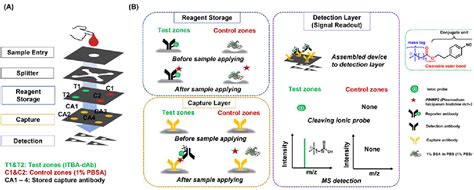 Figure 5 From Automated Immunoassay Performed On A 3d Microfluidic Paper Based Device For
