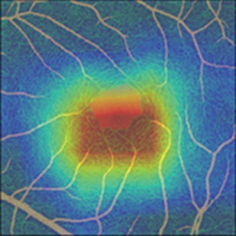 Examples Of The Visualization Results Download Scientific Diagram