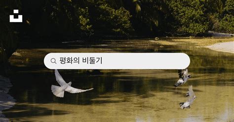 평화의 비둘기 사진 Unsplash에서 무료 이미지 다운로드