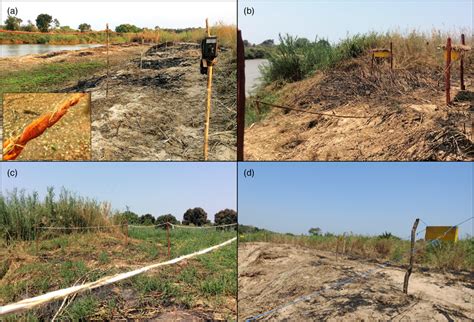 Examples Of Elephant‐deterrent Strategies Evaluated As Part Of Our Download Scientific Diagram