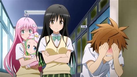 Top Best Ecchi Harem Anime To Watch