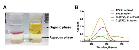 Figure S3 Partition Coefficient Determination By Shake Flask Method Download Scientific