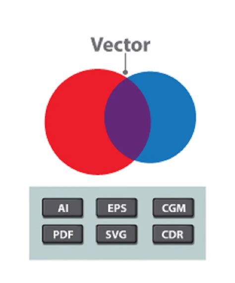 Raster Vs Vector What Re The Differences