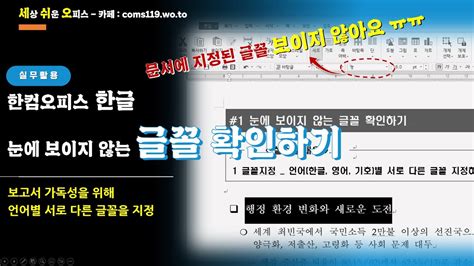 한컴오피스 한글 눈에 보이지 않는 글꼴 확인하기 Youtube