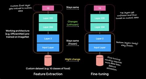 pegah t on linkedin updated post fine tuning in deep learning with a