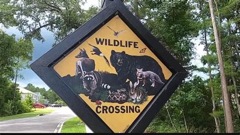 St Johns County Couple Finds Out The Hard Way That Conservation Land