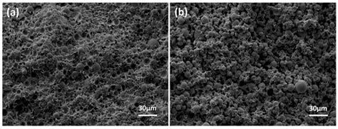 Sem Micrographs Of Green Parts C A Before And B After Solvent Download Scientific Diagram