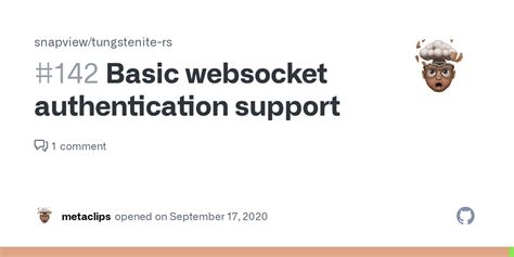 Basic Websocket Authentication Support · Issue 142 · Snapview