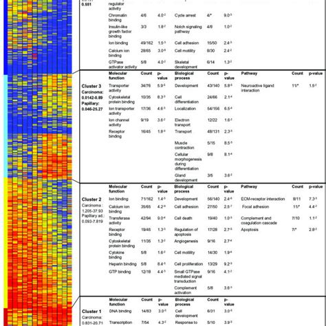 Unsupervised Hierarchical Clustering And Gene Ontology Go Analysis Of Download Scientific