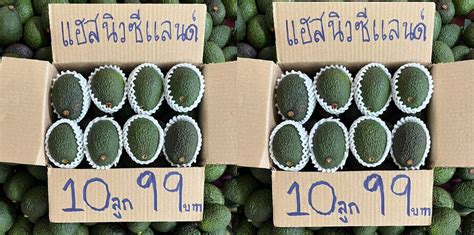 ร้านอาหารเจ 👑พันธุ์แฮสนิวซีแลนด์👑ราชาอโวคาโด้ ที่อร่อยที่สุด