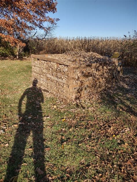 Experimenting With Leaf Composting Tips Leave It Water It Pee On It🤔 Rcomposting