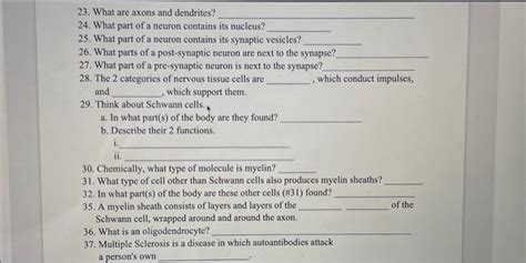 Solved What Are Axons And Dendrites What Part Of A Chegg Com