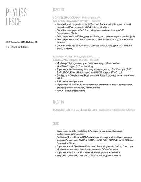 Sap Developer Resume Samples Velvet Jobs