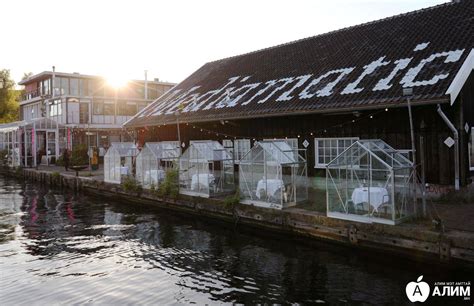 Цар тахлын үеийн “шилэн бүхээгний” үйлчилгээний хэлбэрийг Нидерландын