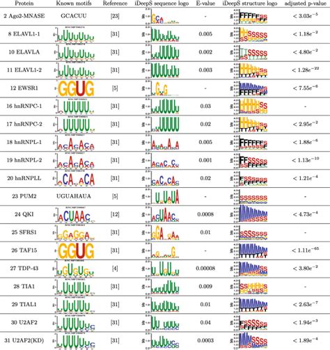 Prediction Of Rna Protein Sequence And Structure Binding Preferences Using Deep Convolutional
