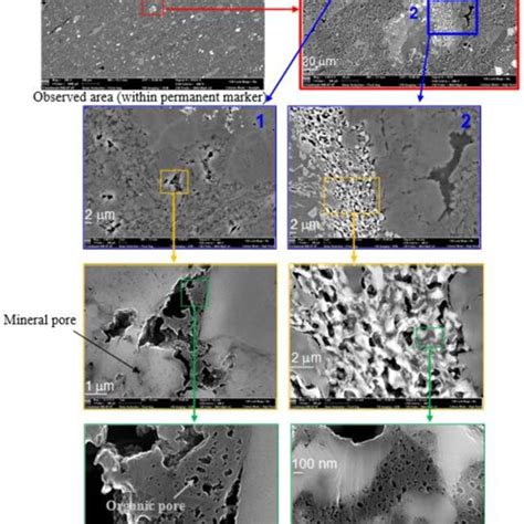 Visualization Of The Microstructure And The Arrangement Of Mineral Download Scientific Diagram