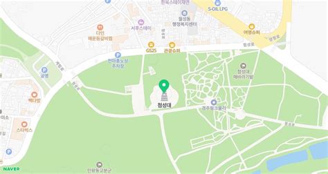 경주핑크뮬리명소 첨성대데이트 네이버 블로그