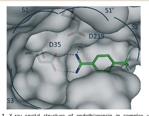 Figure 1 From Fragment Growing Exploiting Dynamic Combinatorial Chemistry Of Inhibitors Of The