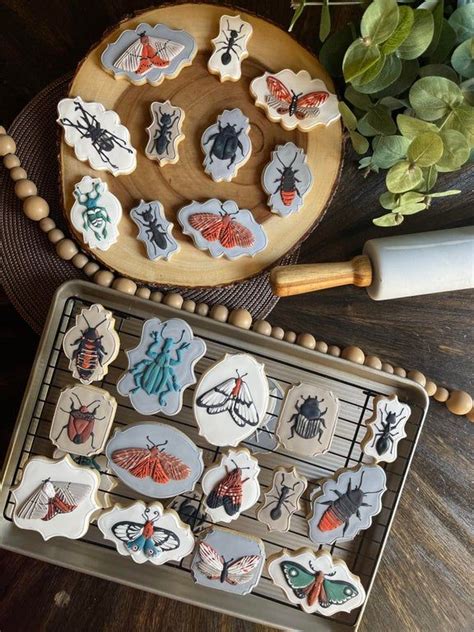 Bug Off 🐜 Cookiedecorating Bug Birthday Cakes Sugar Cookies