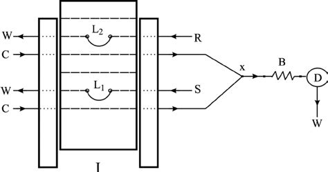 Flow Injection Manifold For Determination Of Dipyrone The Peristaltic Download Scientific