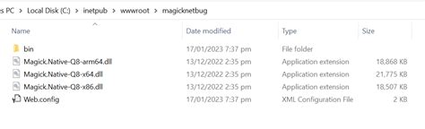 Magicknative Q8 X64dll Is Being Publish In The Root Folder And Bin Folder · Issue 1336