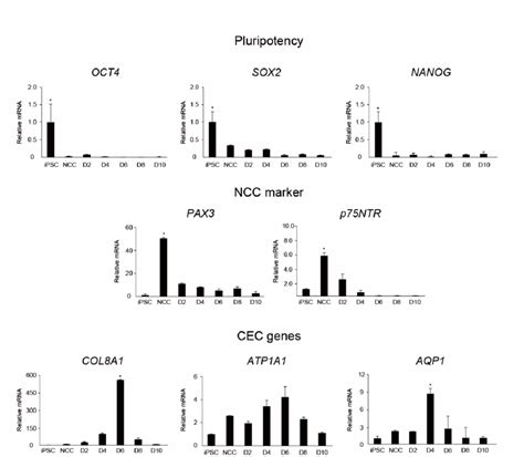 Quantitative Real Time Rt Pcr Qrt Pcr Qrt Pcr Analysis Of The Download Scientific Diagram