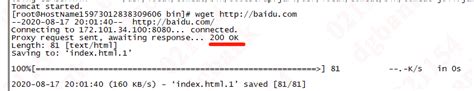 Linux服务器上设置全局代理访问外网并验证liunx设置网络代理并校验是否真的用代理了 Csdn博客