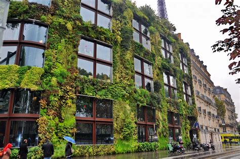 Вертикальные сады Патрика Бланка