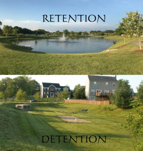 Module Three Quiz Bs Flashcards Quizlet