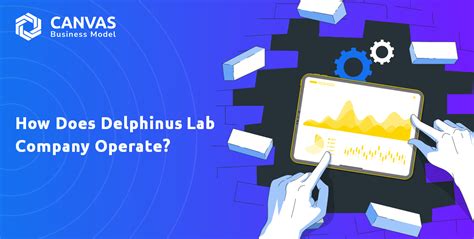 How Does Delphinus Lab Company Work