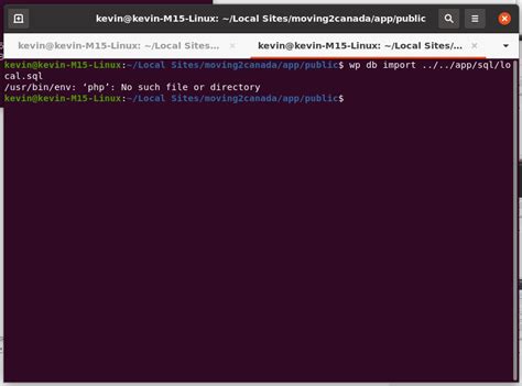 error importing missing sql database via adminer support local