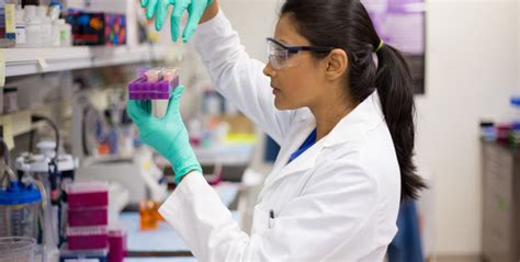 Medical Lab Assistant Amt Certification Spa Education Ltd