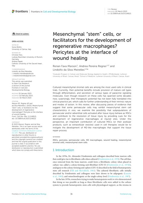 Pdf Mesenchymal “stem” Cells Or Facilitators For The Development Of Regenerative Macrophages