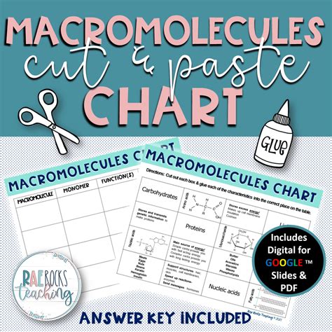 Macromolecules Chart Rae Rocks Teaching