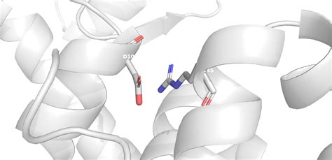 Attractive Interaction Encyclopedia MDPI